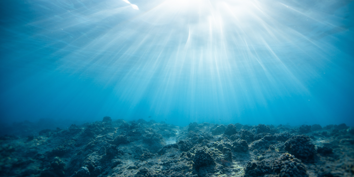 L’avenir des grands fonds marins discuté - Fondation de la Mer