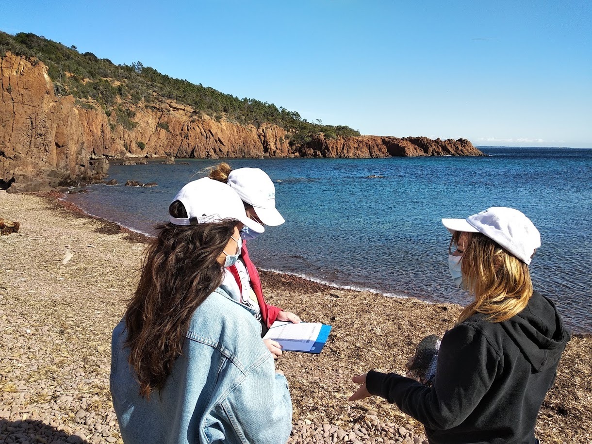 Collecte Calanques du Cap Roux - Fondation de la Mer