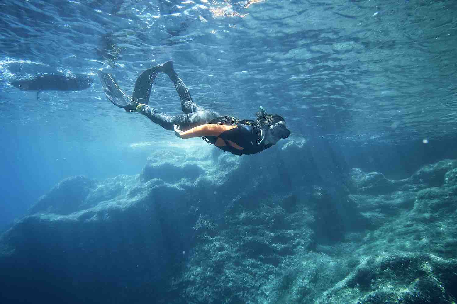 Watch The Sea : immersion en pleine nature et protection de l ...