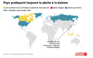 La chasse à la baleine, un problème résolu par la Commission baleinière internationale ...
