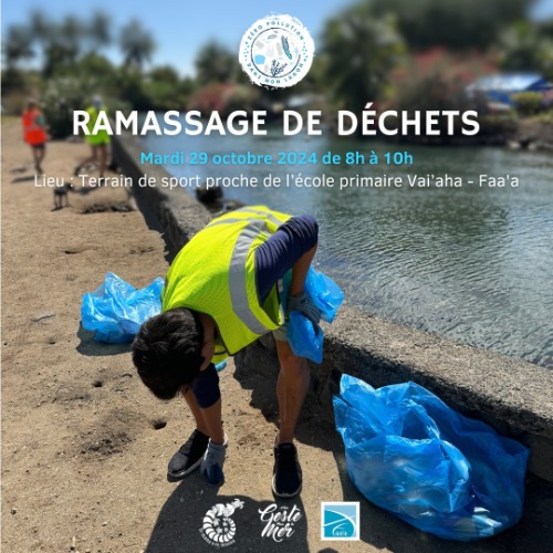 OBJECTIF ZERO POLLUTION DANS MON LAGON - TERRAIN DE SPORT ECOLE VAIAHA ...